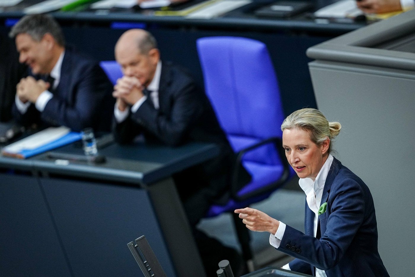 AfD im Bundestag: „Linkere Akteure müssen ihre Reflexe im Griff haben“