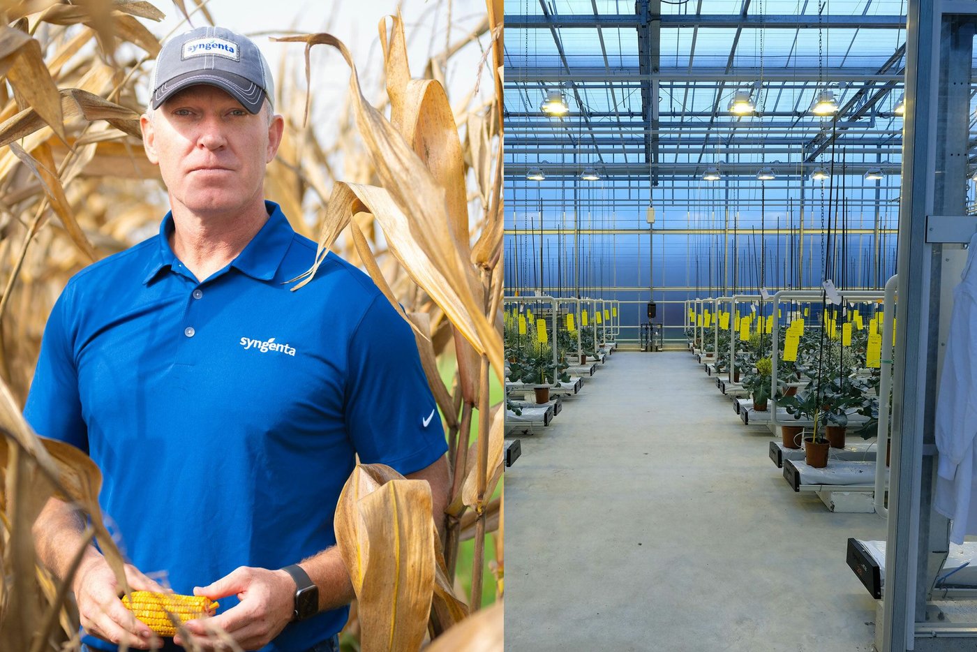 Syngenta: Wie der Saatgutriese Bayer abhängt