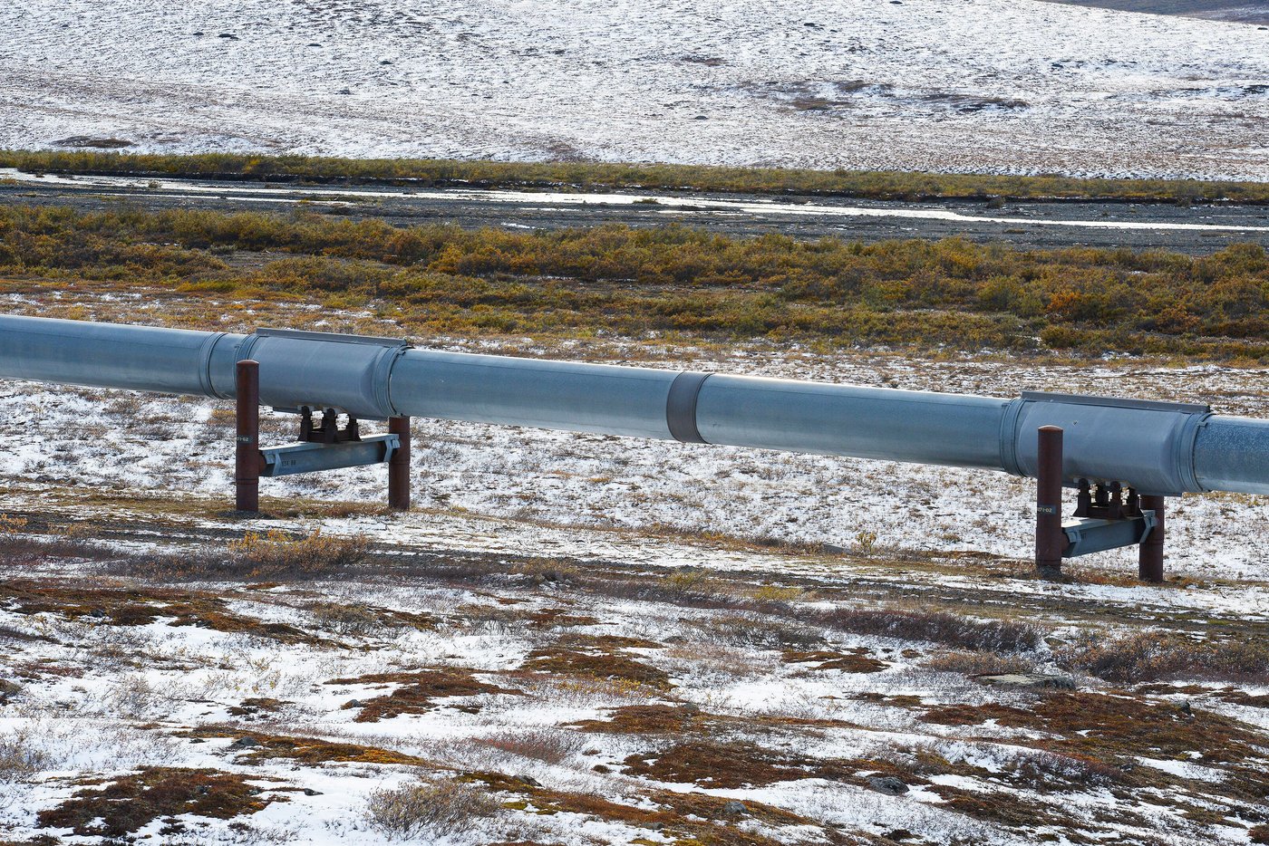 Deutsche Oel & Gas AG: Tatverdächtiger im ICE verhaftet