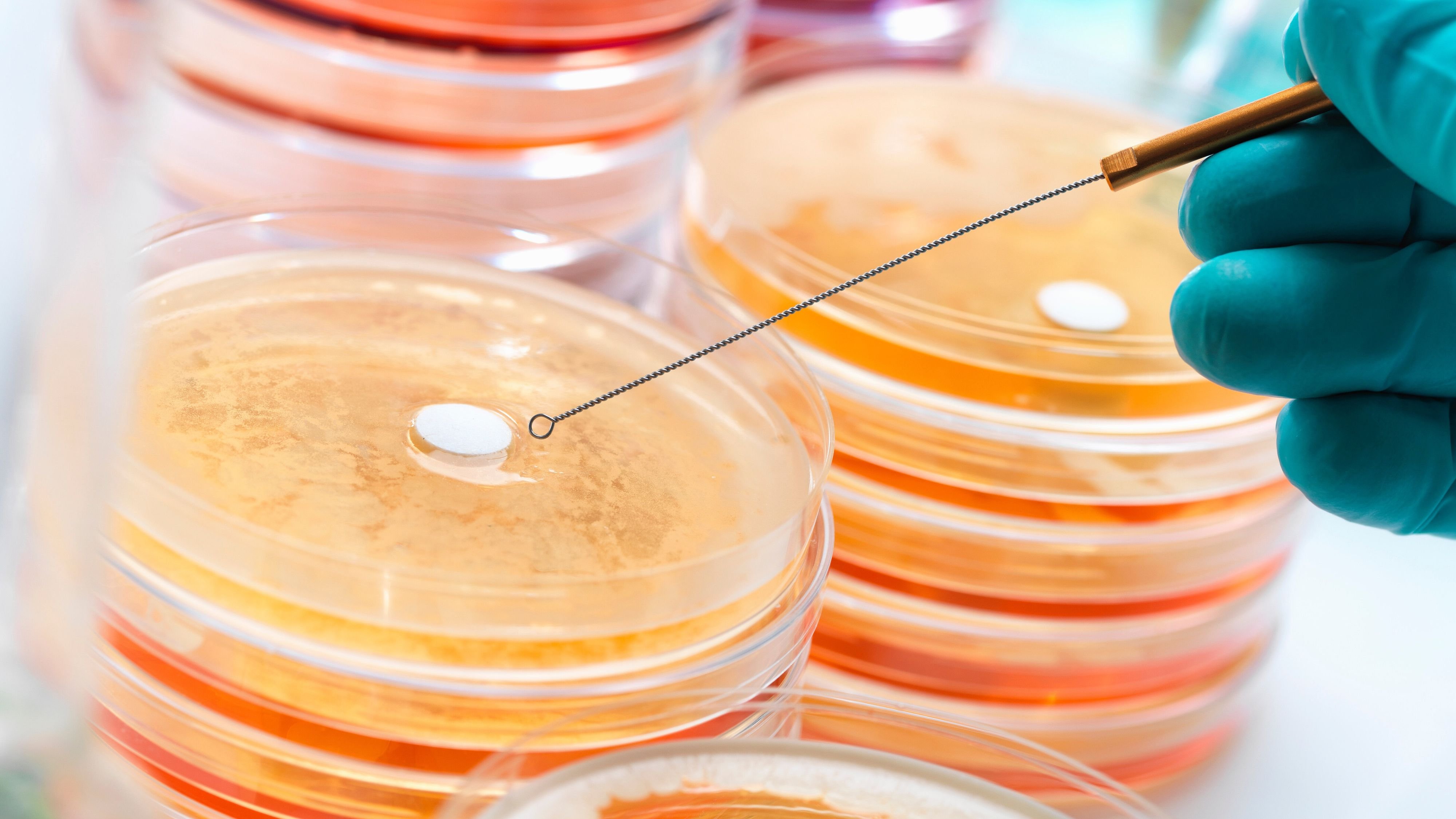 Antibiotikaresistenz und KI: Ein smarter Ansatz im Kampf gegen Bakterien