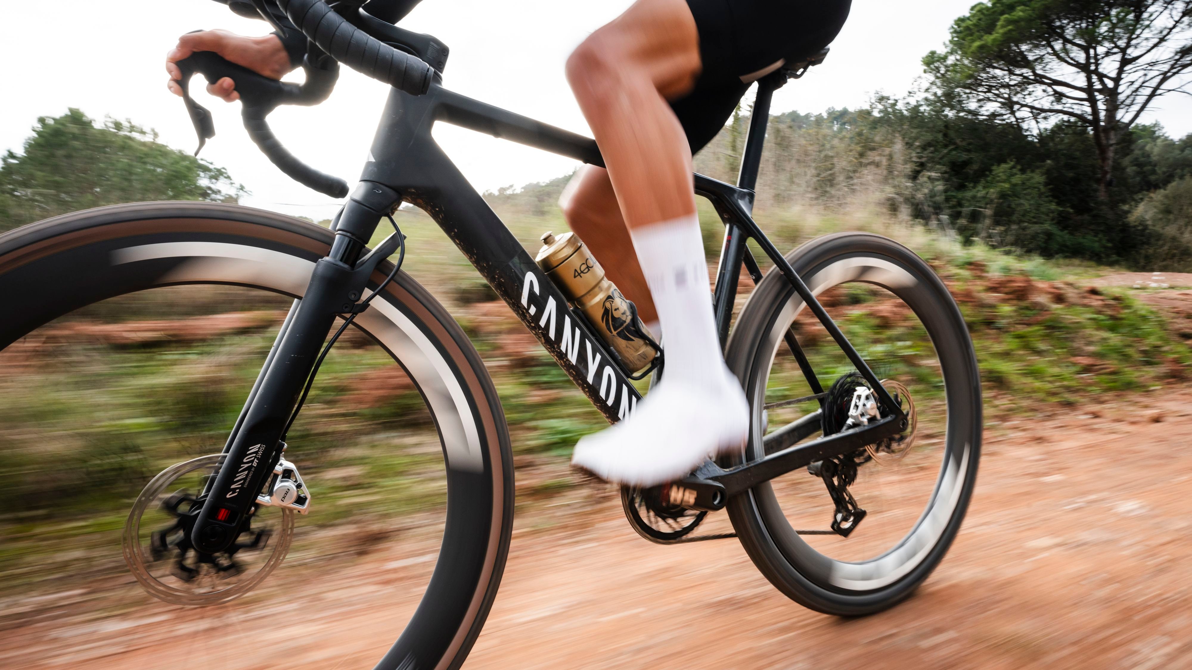 Master Today’s Wordle with Hints, a Custom Bonus Puzzle, and ...