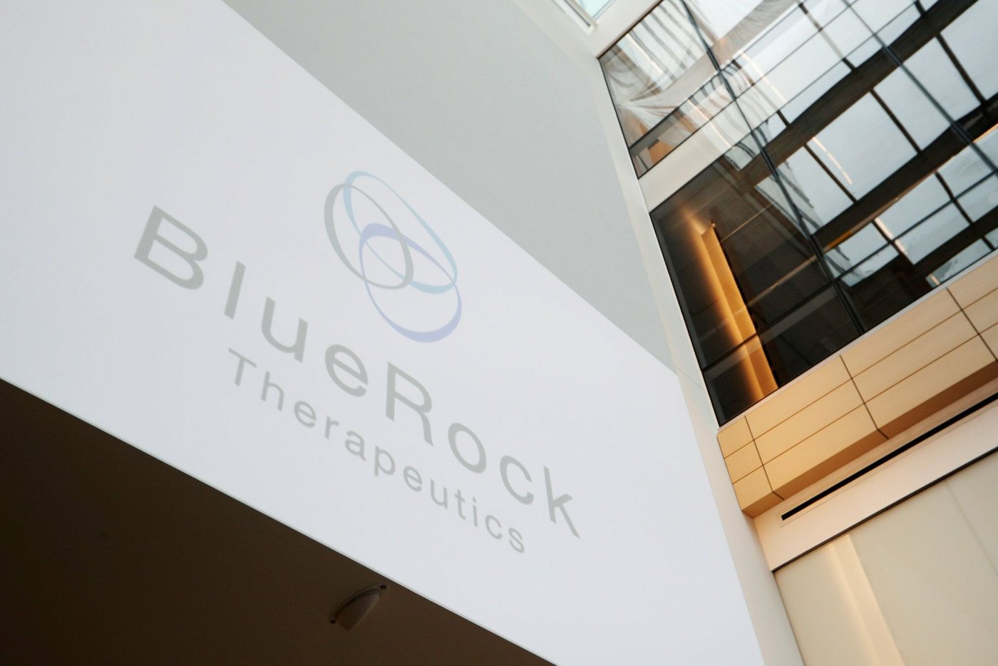 Bayer plant nächsten Schritt bei Parkinson-Therapie